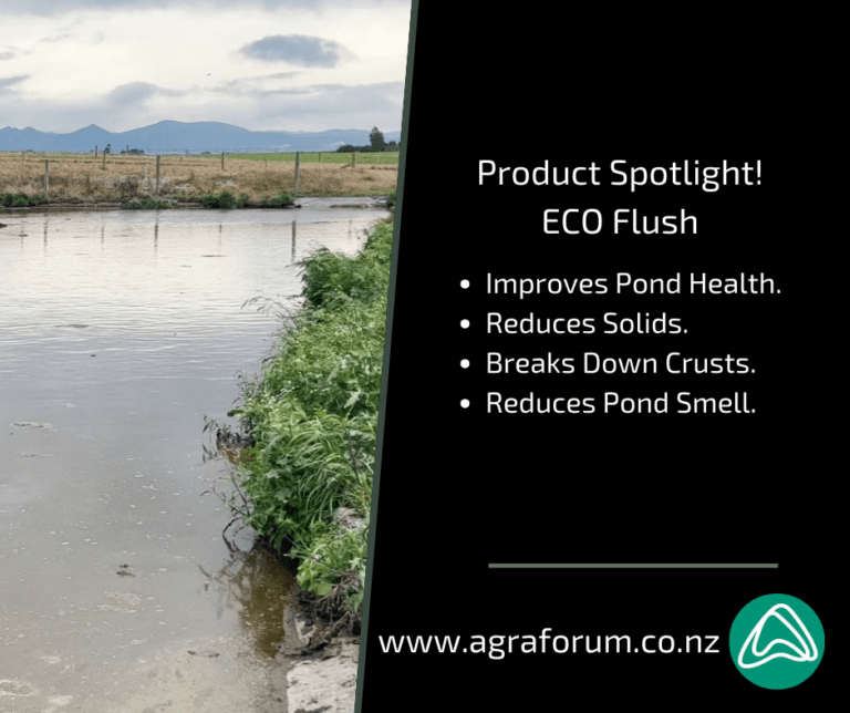 Agraforum NZ’s Eco Flush: Revolutionising Effluent Pond Management for ...